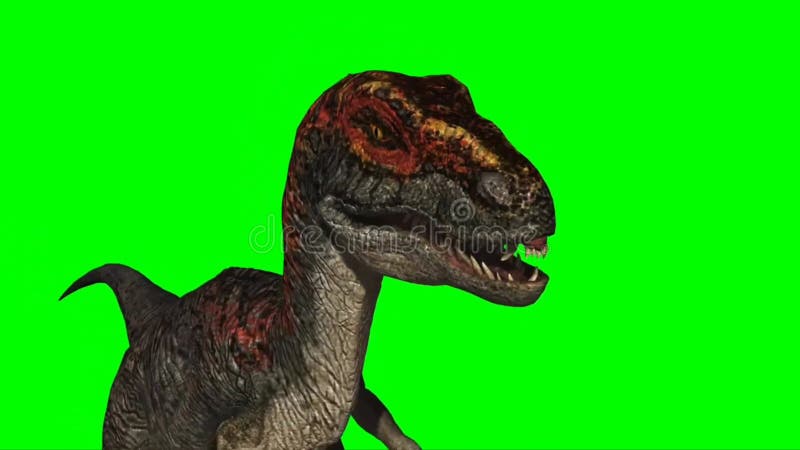 Velociraptor Walking on Green Screen Stock Video - Video of slow ...
