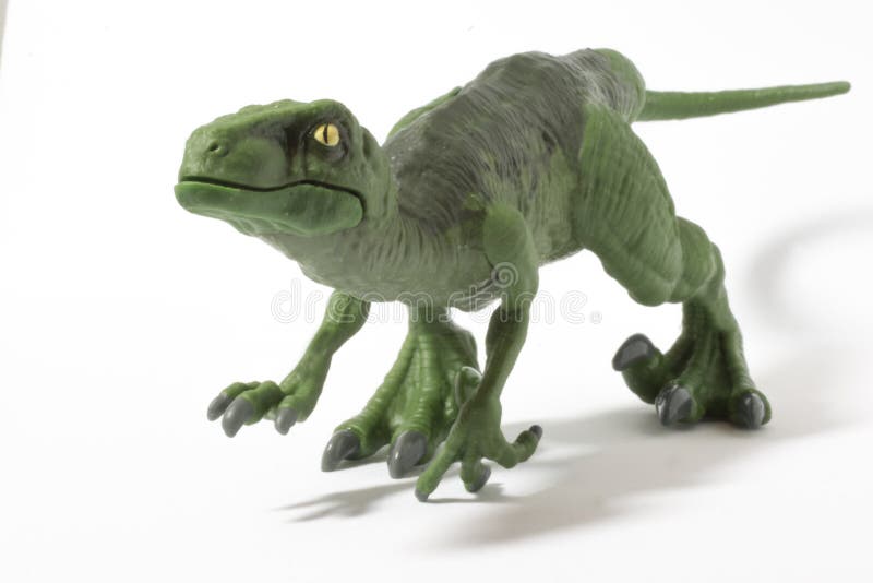 Velociraptor on White Background Ready To Attack Stock Image - Image of ...