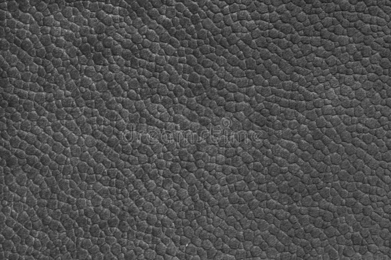 Velours Black Fabric with with Embossed Pattern Like Leather Structure ...