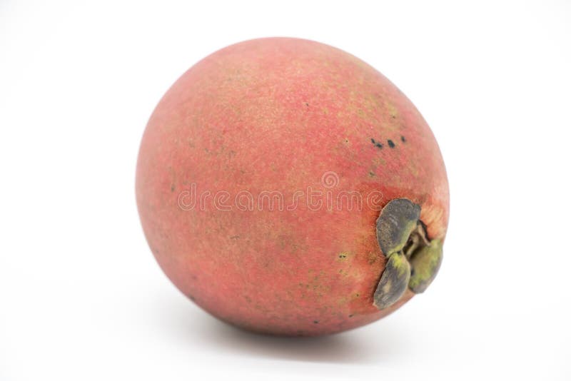 Velvet Apple Fruit Isolate on White Stock Image - Image of health ...