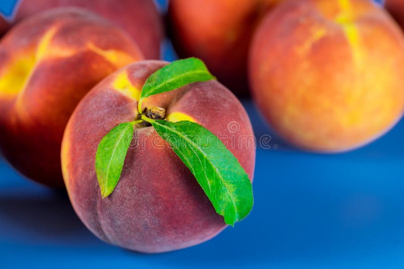 Velvet Peaches with Leaves on Blue Background Stock Photo - Image of ...