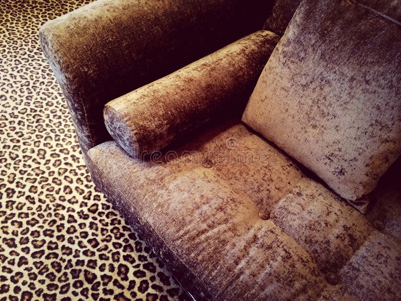 Velvet Sofa on Leopard Carpet Stock Photo - Image of decorative, colour ...