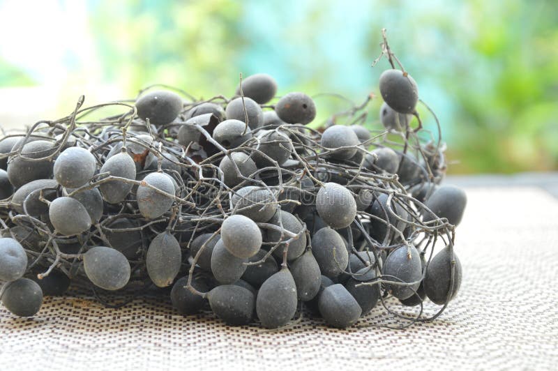 Velvet Tamarind Tropical Fruit on Bamboo Mat Stock Photo - Image of ...