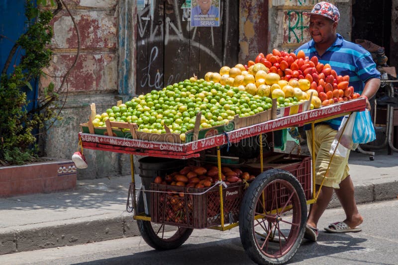 Vendedor Con El Carro De La Fruta Imagen de archivo editorial - Imagen ...
