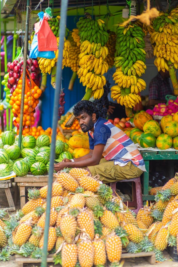 Vendedor De Frutas Tropicales En Sri Lanka Imagen de archivo editorial ...