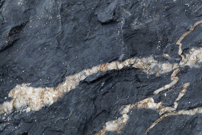 Vena Calcitica in Una Muffa Sotto Un Microscopio Immagine Stock ...