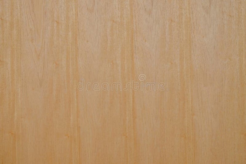 Veneer with Detail Texture and Pattern, Surface of Processing Wood ...