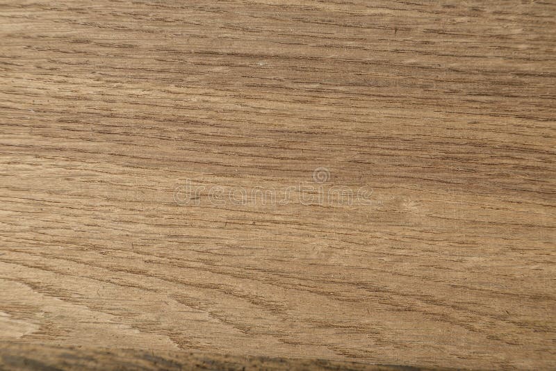 Veneer Made from Old Oak, Texture of Wood Stock Photo - Image of ...