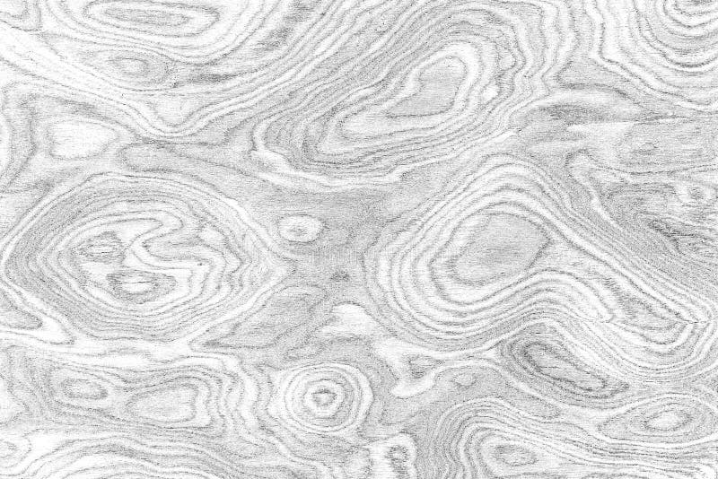 Veneer Wood Pattern and Texture with Natural White Surface. Stock Photo ...