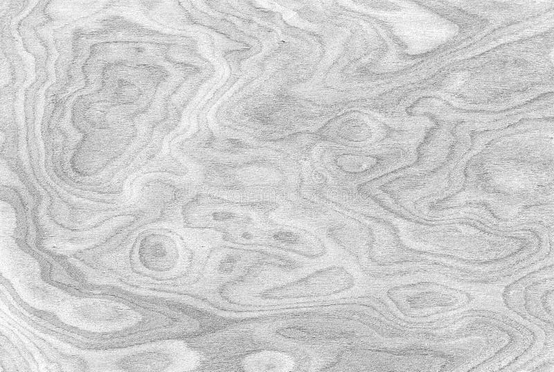 Veneer Wood Pattern and Texture with Natural White Surface. Stock Image ...