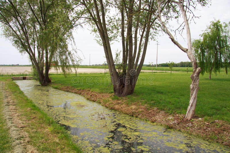 Venetian plain stock photo. Image of valley, veneto, swamp - 24681914