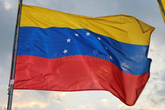 11,693 Venezuelan Hippos Stock Photos - Free & Royalty-Free Stock ...