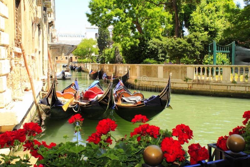Venice Canal Red Flowers Italy Stock Image - Image of nice, travel ...