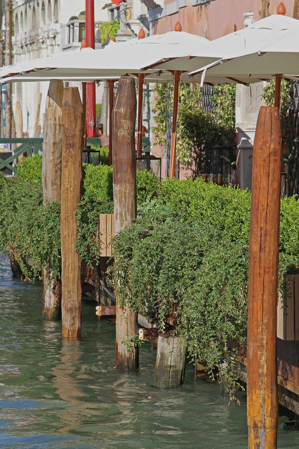 Venice Wooden Pillars stock image. Image of water, sunny - 144189963
