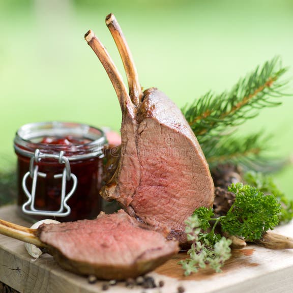 Venison rack stock image. Image of hunter, meat, cranberry - 25816291