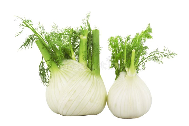 Venkel stock foto. Image of vers, vegetariër, heerlijk - 22704148