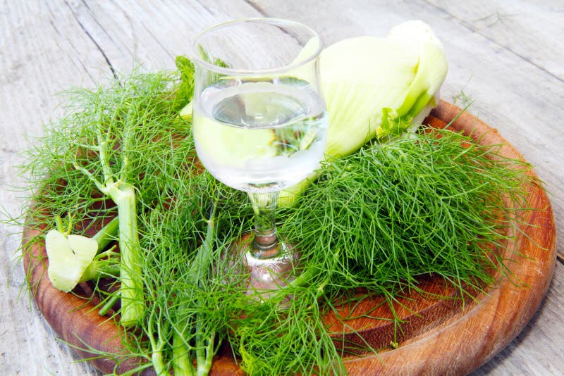 Venkel en venkellikeur stock foto. Image of kruiden, glas - 35336104