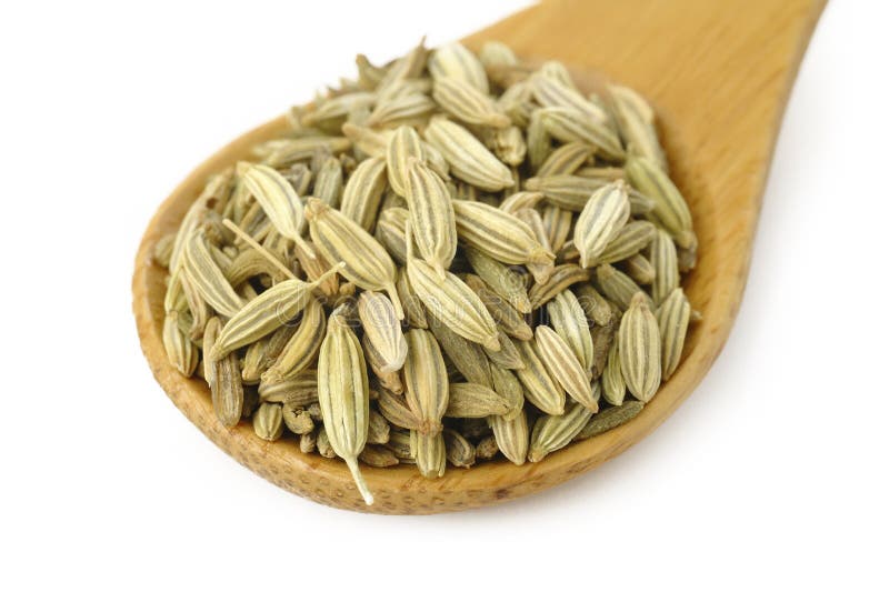 Venkelzaad op wit stock foto. Image of venkel, ingrediënt - 44808388