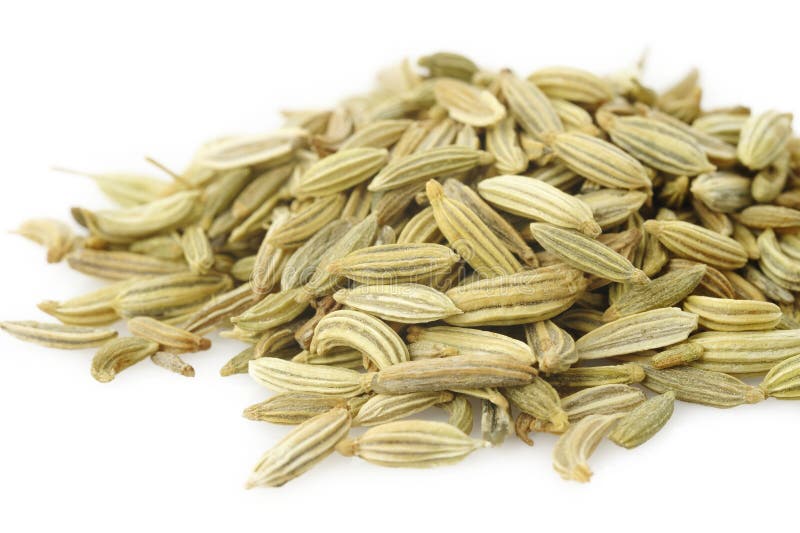 Venkelzaad Op Witte Achtergrond Stock Afbeelding - Image of koken ...