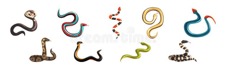 Venomous Snake and Serpent of Different Type Vector Set Stock Vector ...