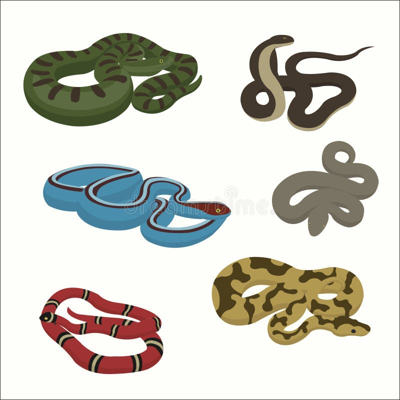Venomous Snake Vector Cartoon Set Stock Vector - Illustration of ...