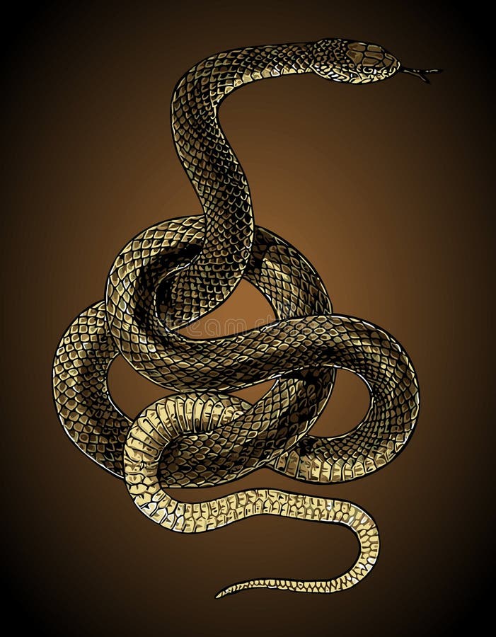 Snake Wrapped Around Stock Illustrations – 140 Snake Wrapped Around ...