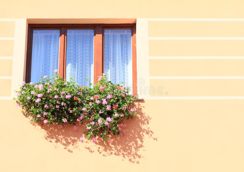 Venster met rode bloemen stock foto. Image of bruin, venster - 33431074