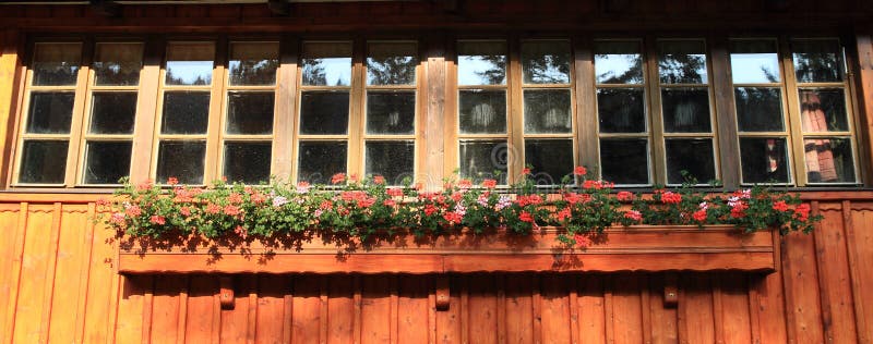 Venster met rode bloemen stock foto. Image of geval, doos - 58031830