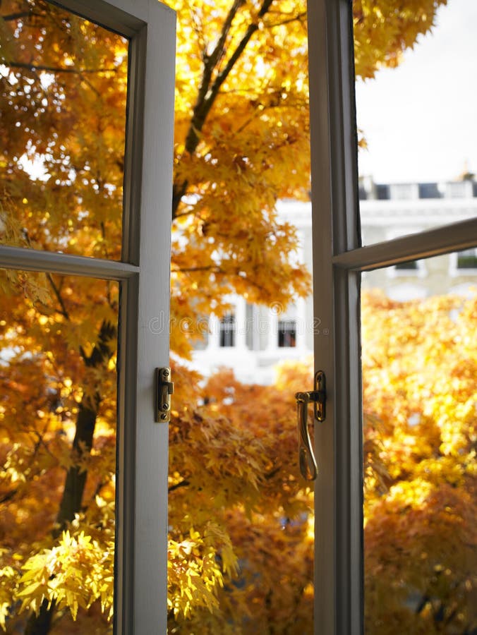 3,297 Ventana Abierta Y árboles Fotos de stock - Fotos libres de ...