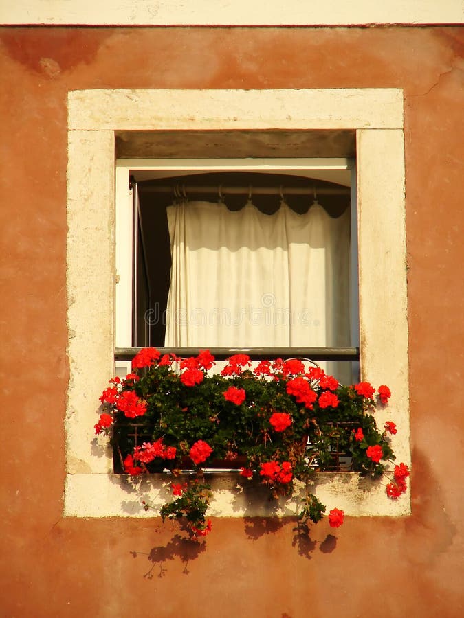 123,399 Ventana Con Las Flores Fotos de stock - Fotos libres de ...