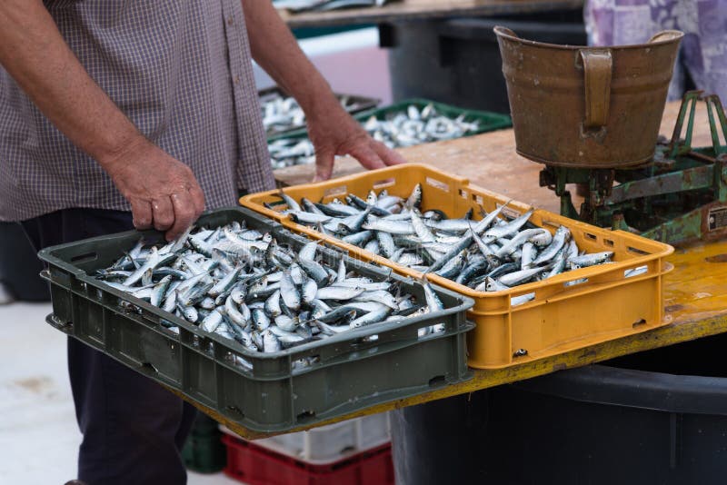 Vente Des Poissons Dans Le Port De Marseille, Frances Image stock ...