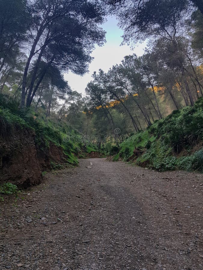 Venture Off the Beaten Path into a Pristine Nature Trail To Explore the ...