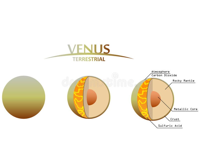 Venus Layers Clipart Mit Terrestrischem Planeten Infographics Stock ...
