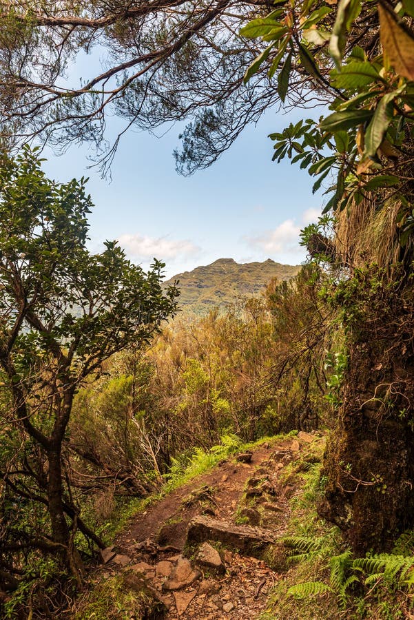 Vereda Do Encumeada Hiking Trail in Madeira Stock Photo - Image of ... Vereda Do Encumeada Hiking Trail in Madeira Stock Photo - Image of ...