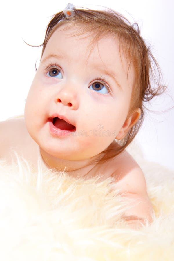 Verbaasde babymaca in boom stock afbeelding. Image of bruin - 183131677