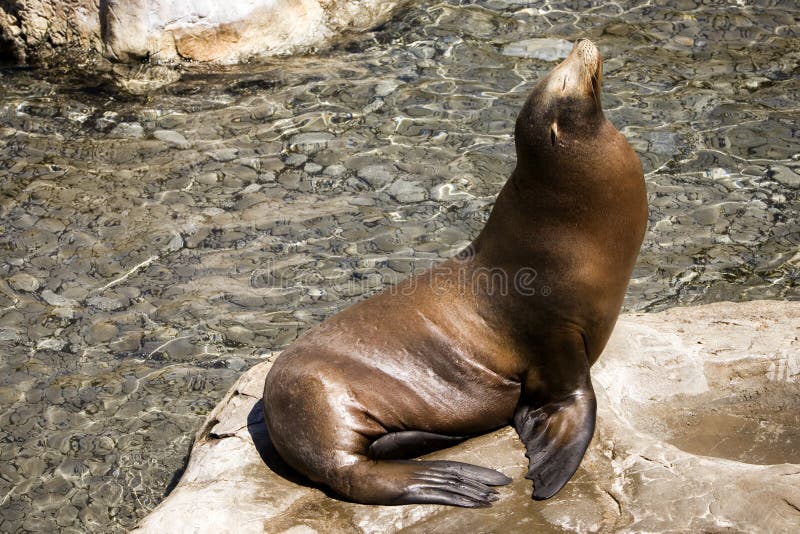 Verbinding stock afbeelding. Image of oceaan, ontspanning - 14165719