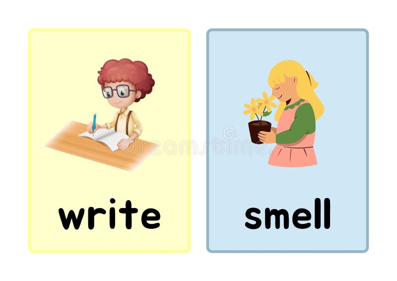 Verbs Flashcard - 12 stock illustration. Illustration of font - 312676877