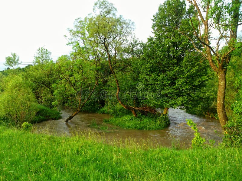 Verdant Spring Meander after Rainfall Stock Image - Image of ecology ...