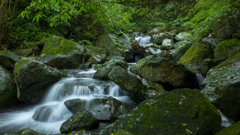 Verdant, Valleys, Streams, Cool, Clear, Streams Stock Photo - Image of ...