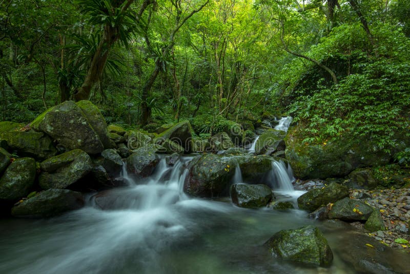 Verdant, Valleys, Streams, Cool, Clear, Streams Stock Image - Image of ...