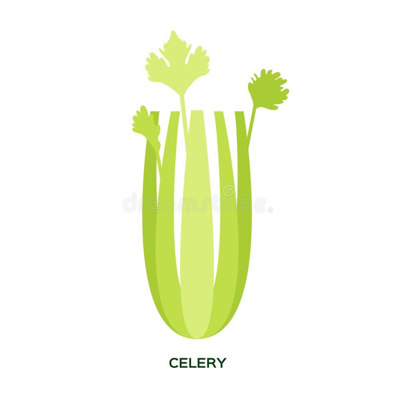 Verde Apio Vegetal Orgánico Vegetal. Alimento Saludable. Ilustración ...