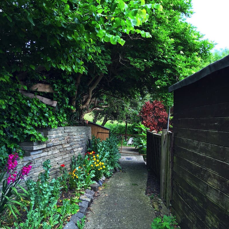 Verde, cor da inveja foto de stock. Imagem de retrato - 72135268