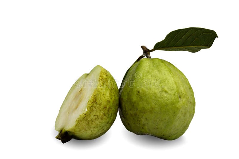 Verde Da Goiaba Em Um Fundo Branco Foto de Stock - Imagem de orgânico ...