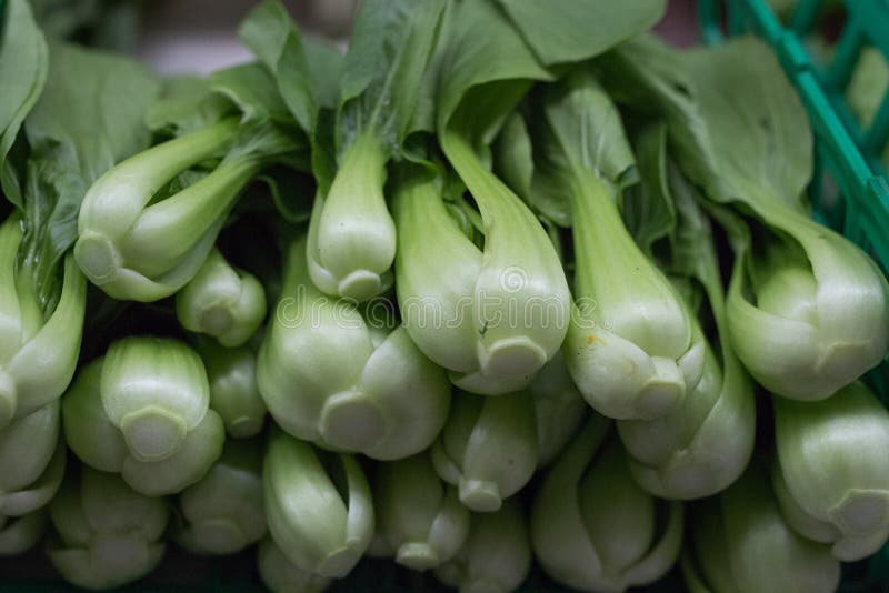 Verde de mostaza china imagen de archivo. Imagen de copia - 106901583