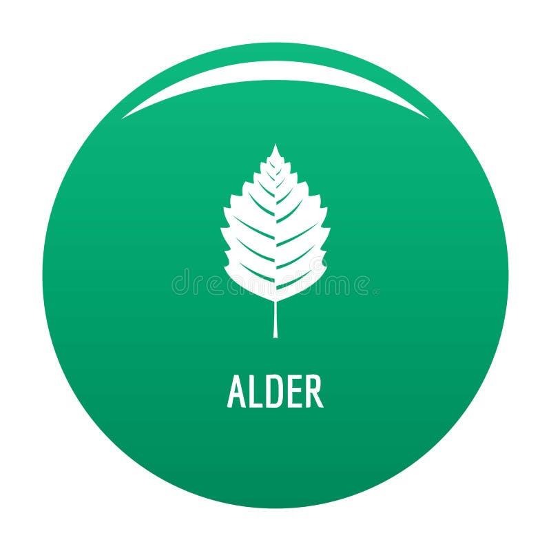 Verde Del Vector Del Icono De La Hoja Del Aliso Ilustración del Vector ...