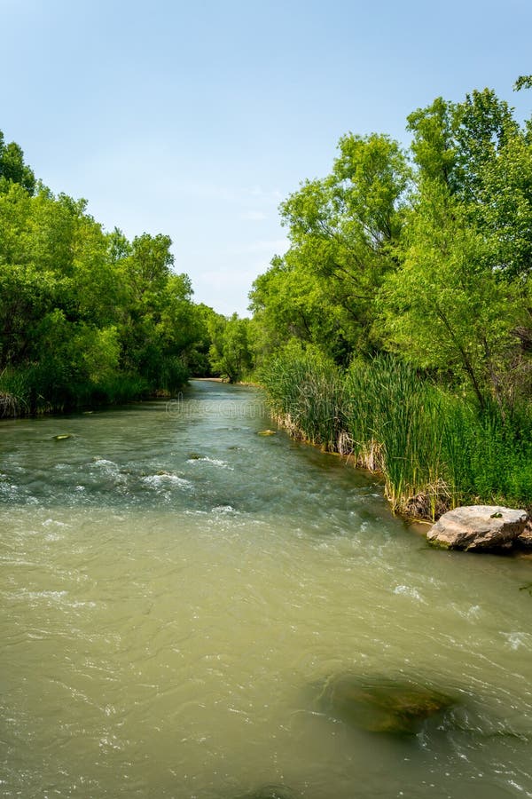 Verde River, Arizona. stock photo. Image of green, scenes - 72417296