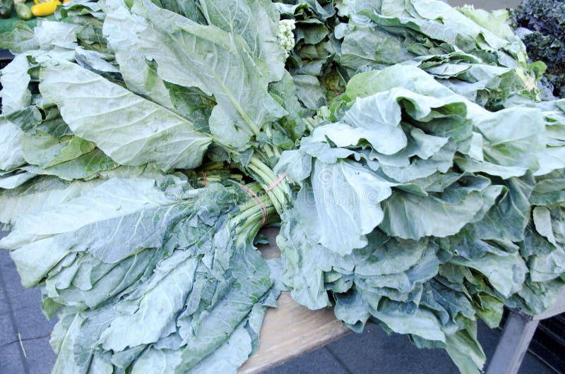 Col rizada foto de archivo. Imagen de fresco, frondoso - 77784394