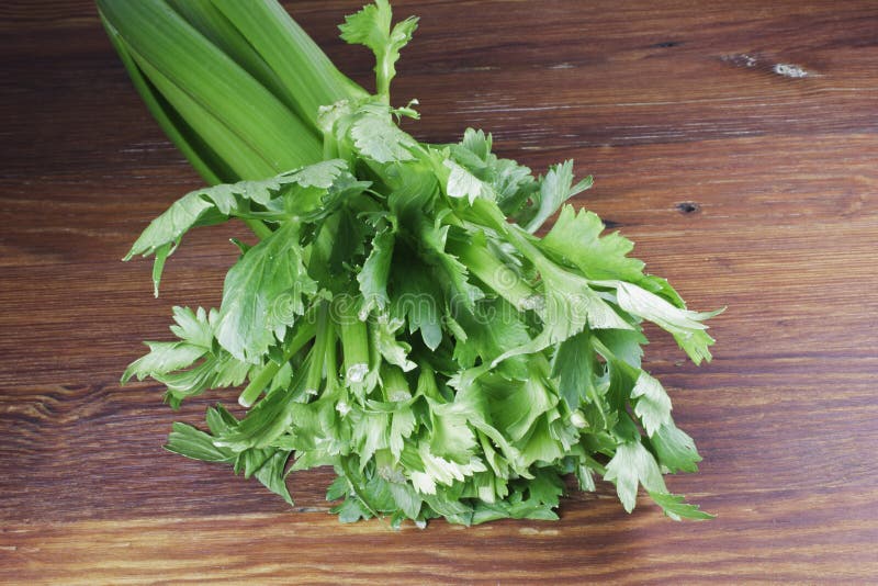Verdes del apio foto de archivo. Imagen de verde, coma - 25280880