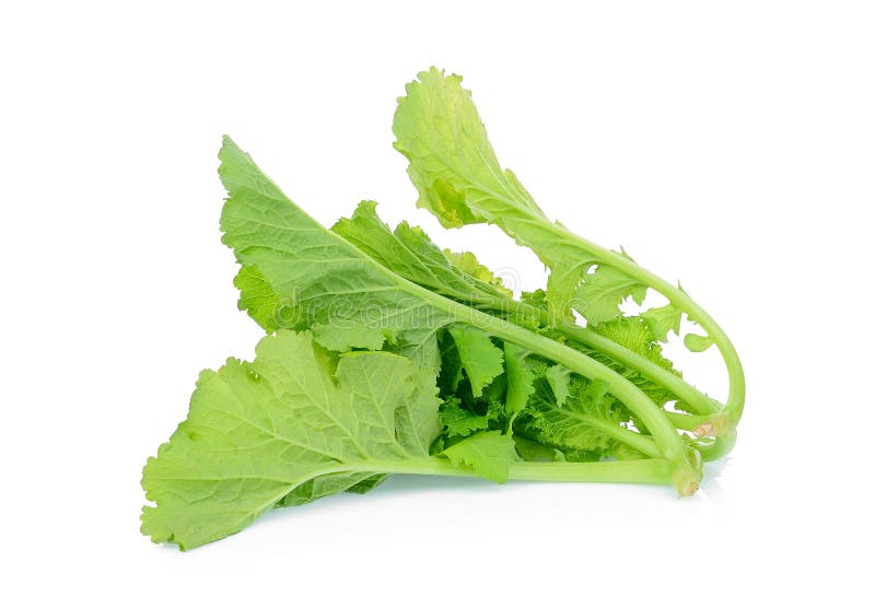 Hojas Verdes De Mostaza Hortalizas De Hoja Verde Nutritivas Foto de ...