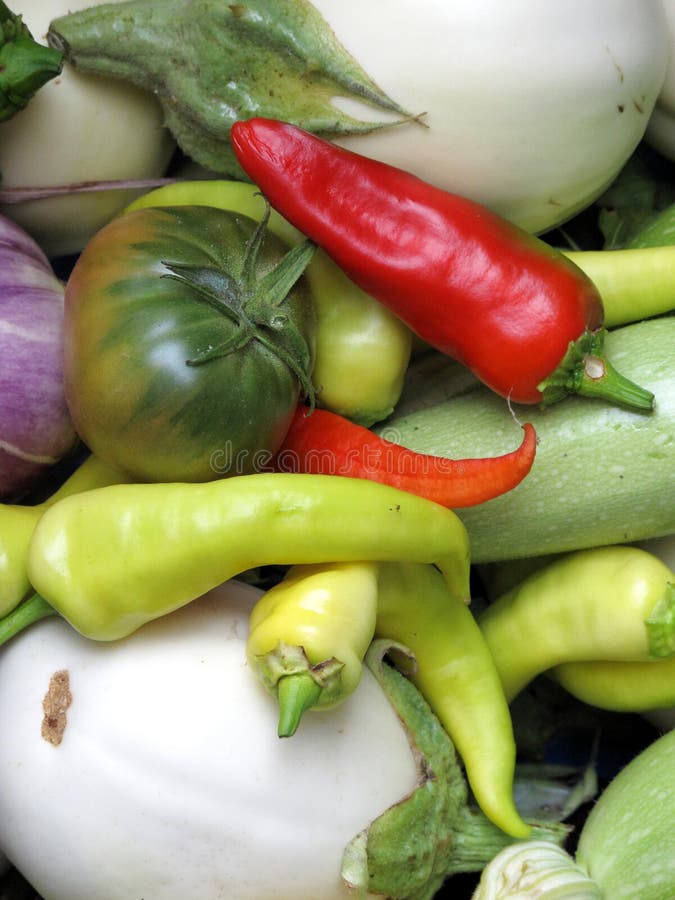 Verduras imagen de archivo. Imagen de fresco, salud, comestible - 28173405